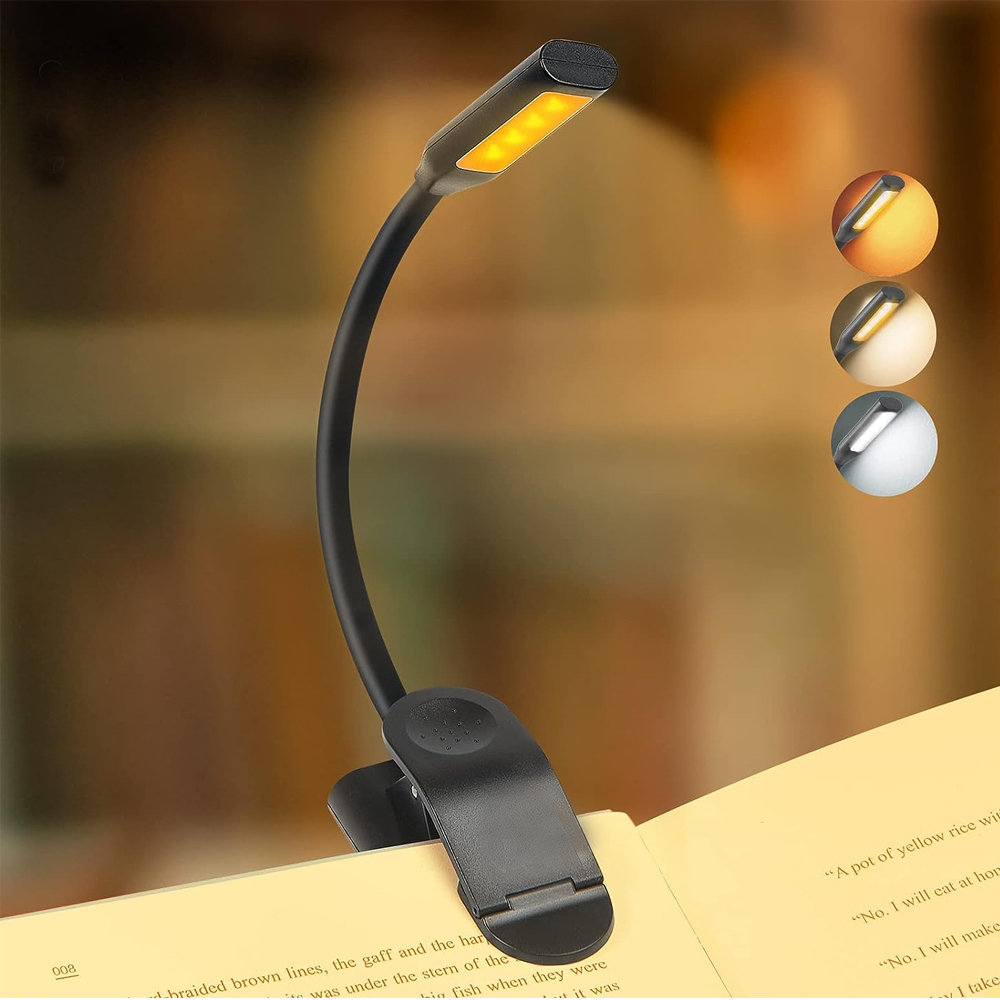 Norbi Reading Night Light | Wayfair