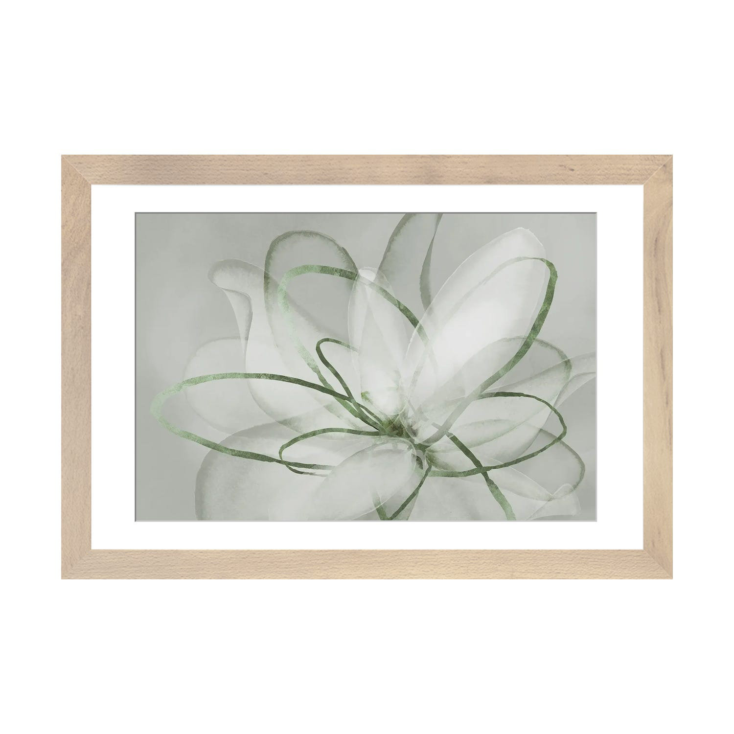 Red Barrel Studio® Transparent Beauty III - Sage | Wayfair