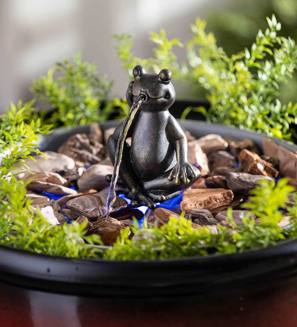 Plow & Hearth Hydria Fountain Spitting Frog Pump - Wayfair Canada