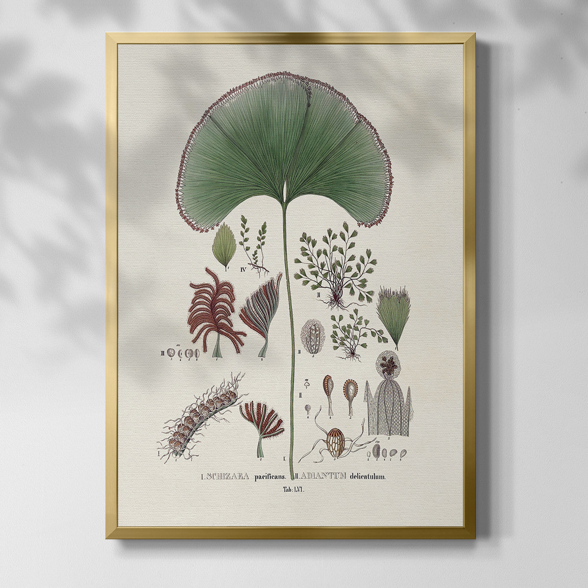 Winston Porter Bright Boy I Framed Print | Wayfair