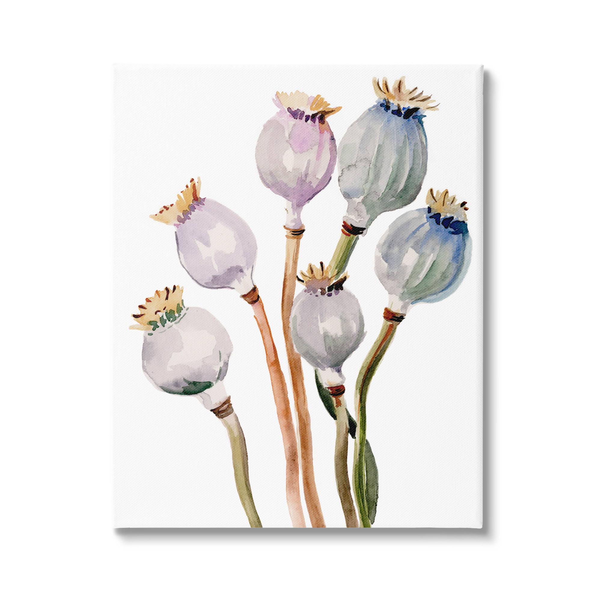Stupell Industries Au-692-Canvas Poppy Pods Watercolor Botanicals On ...