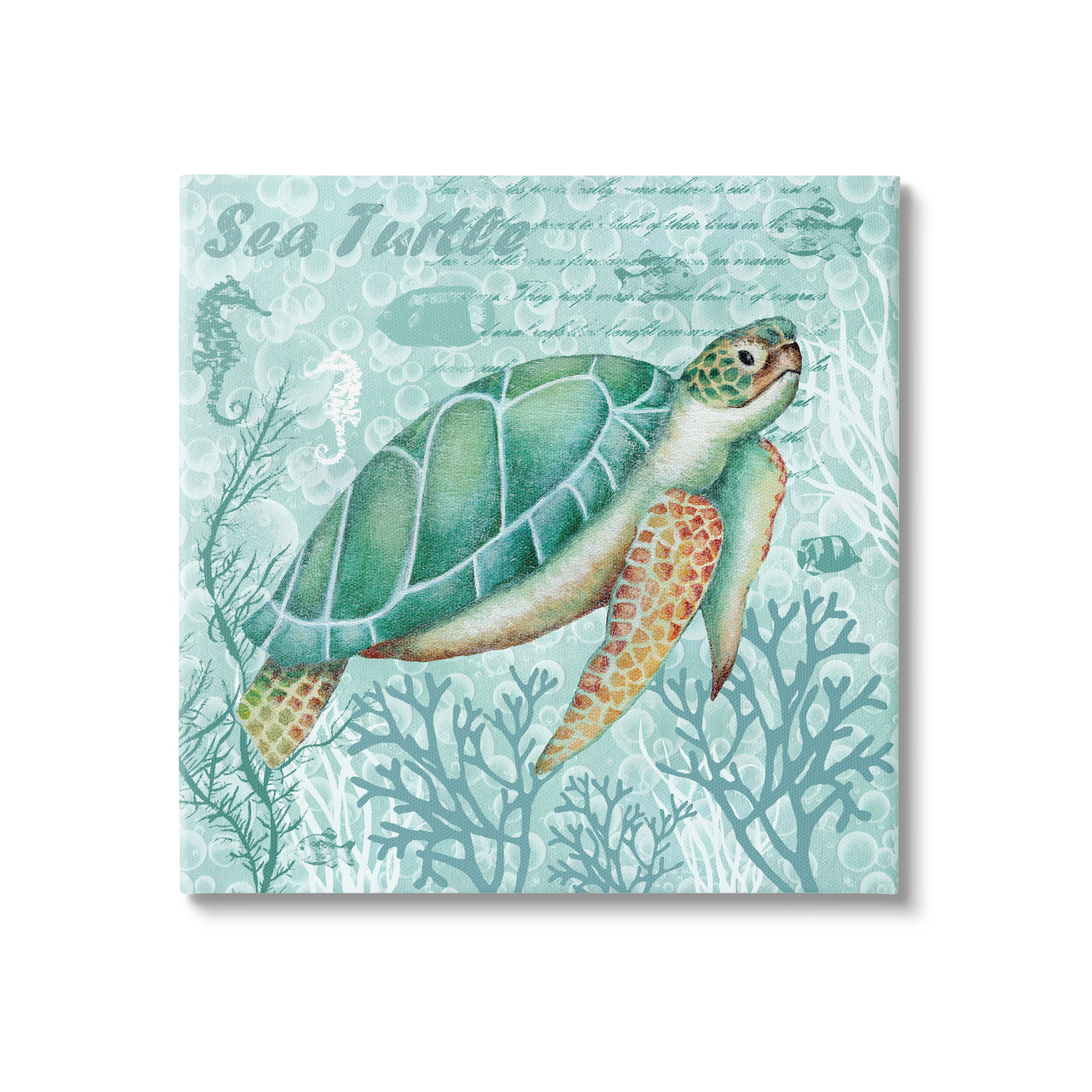 Stupell Industries Sea Turtle Detailed Coral Silhouettes Fancy Script ...