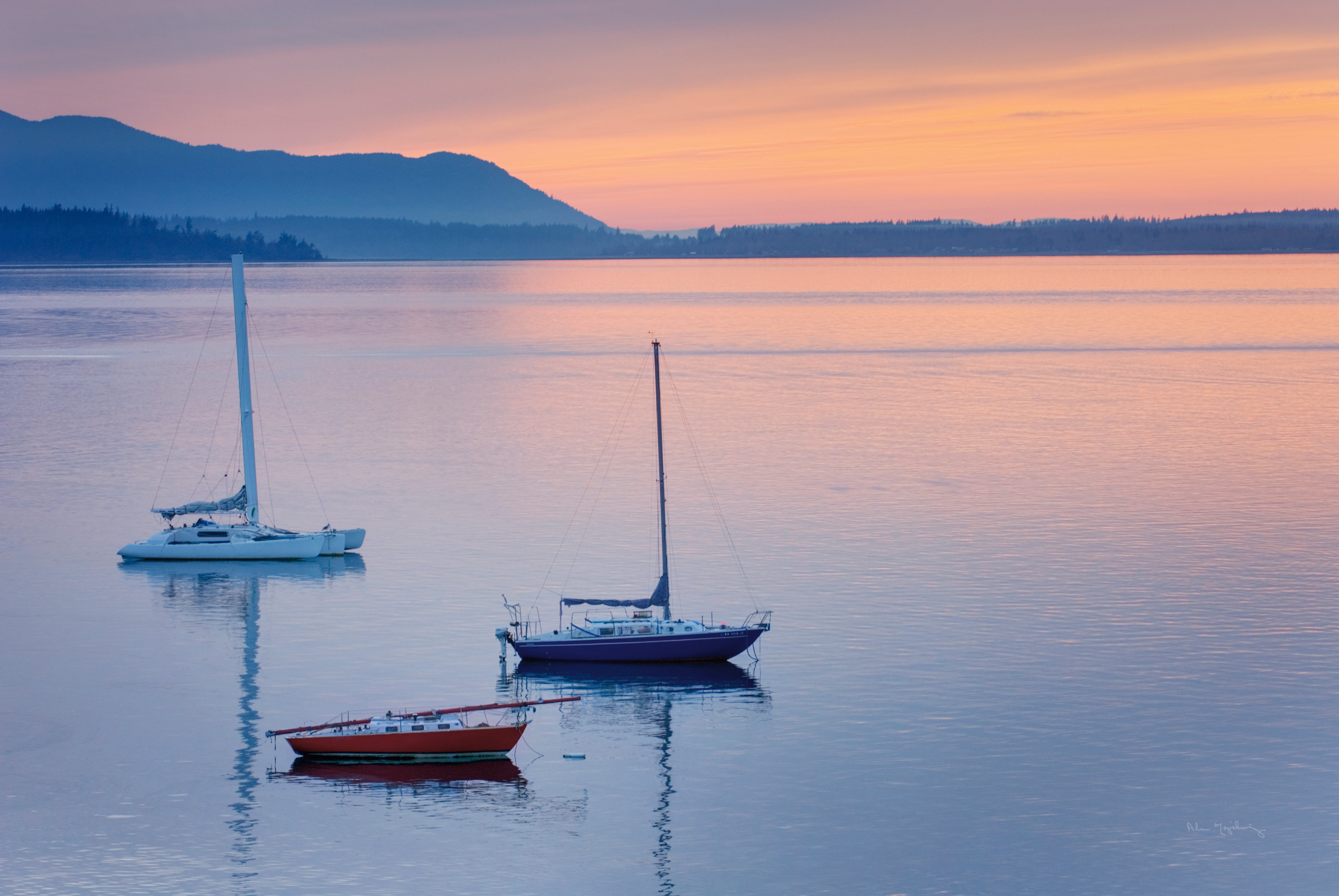 Breakwater Bay Bellingham Bay Crop - Wayfair Canada