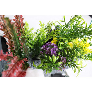 Penn Plax 1 Gallon AquaTerrium™ Aquarium Tank & Reviews | Wayfair