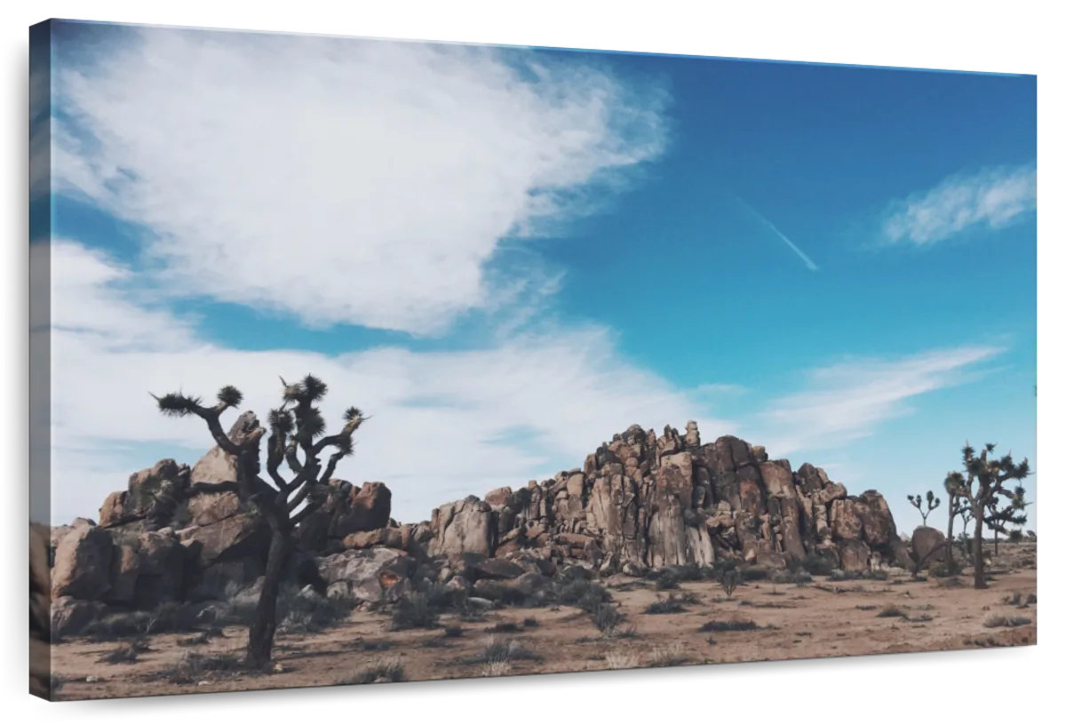 Elephant Stock Joshua Tree Mastodon Peak | Wayfair