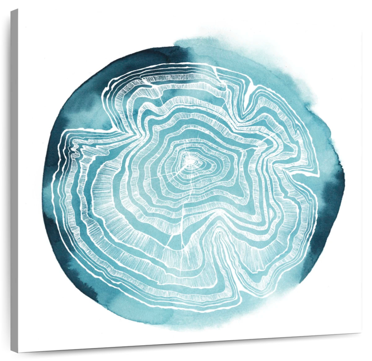 Wade Logan® Avery Tree Ring Overlay II | Wayfair