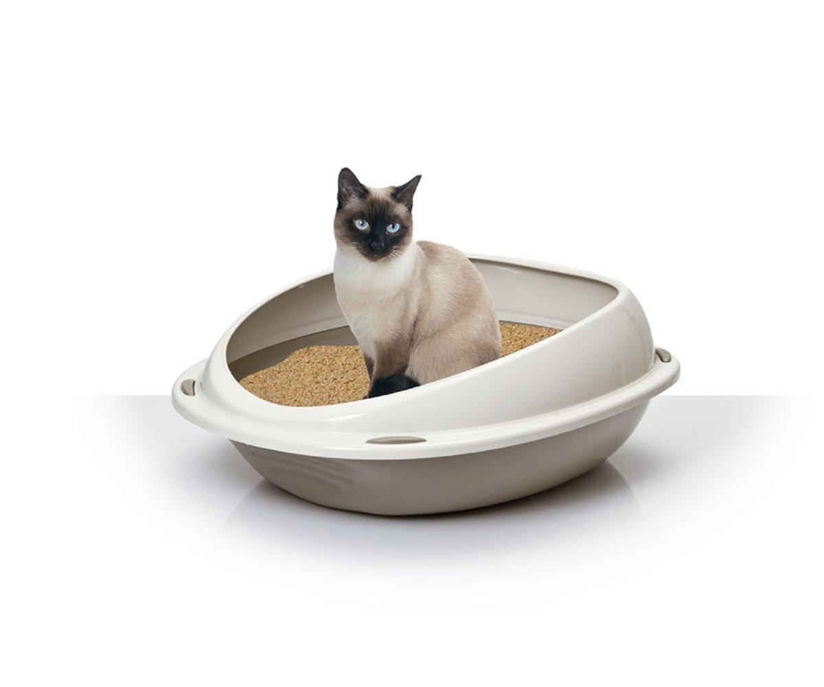 Archie & Oscar Dillow Cat Litter Tray & Reviews | Wayfair.co.uk