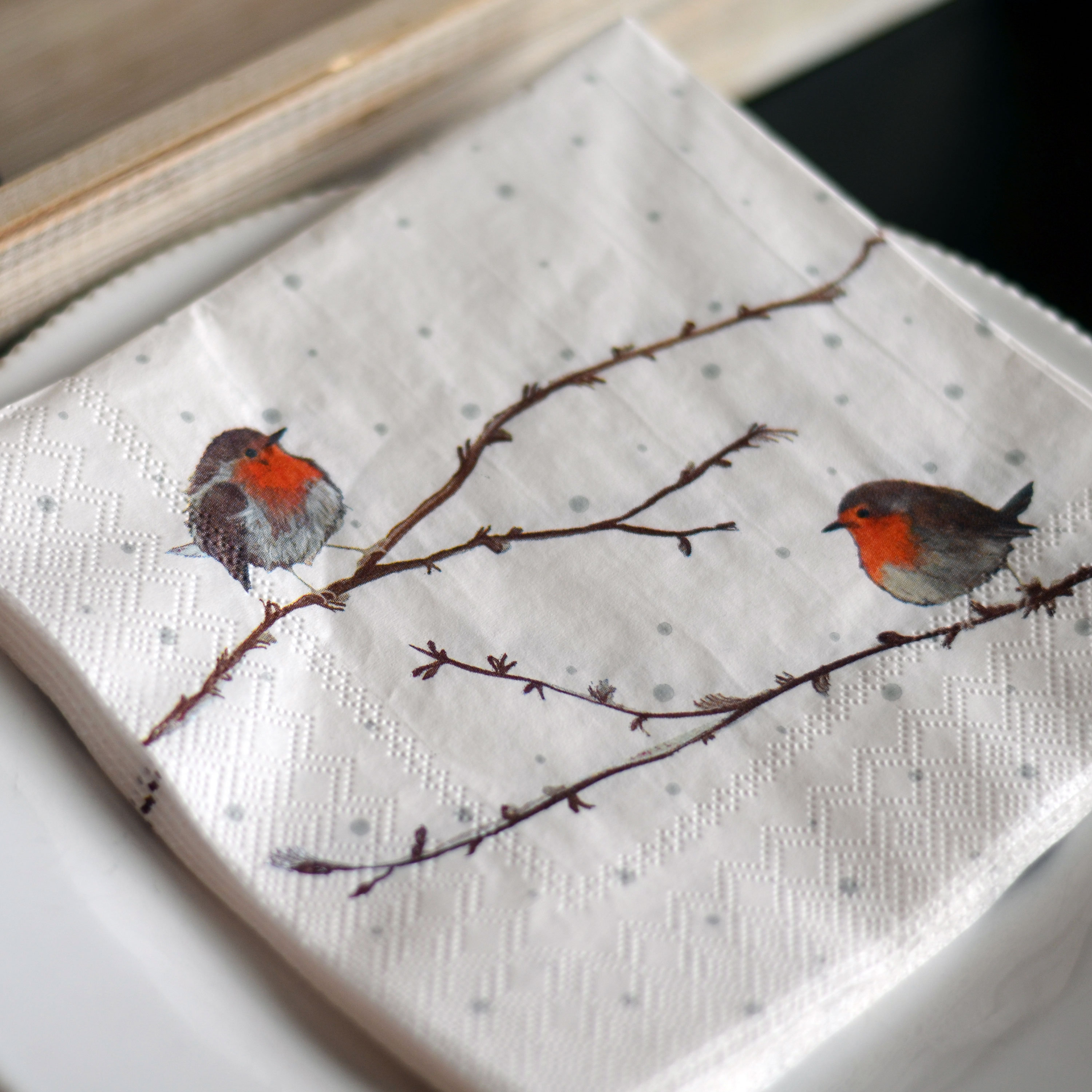 Whole House Worlds Sparrow Basic Paper Disposable Napkins | Wayfair