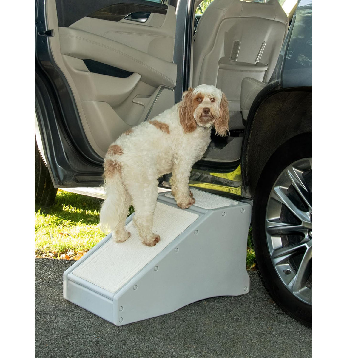 Pet Gear Stramp Stair and Ramp Combination for Dogs/Cats & Reviews ...