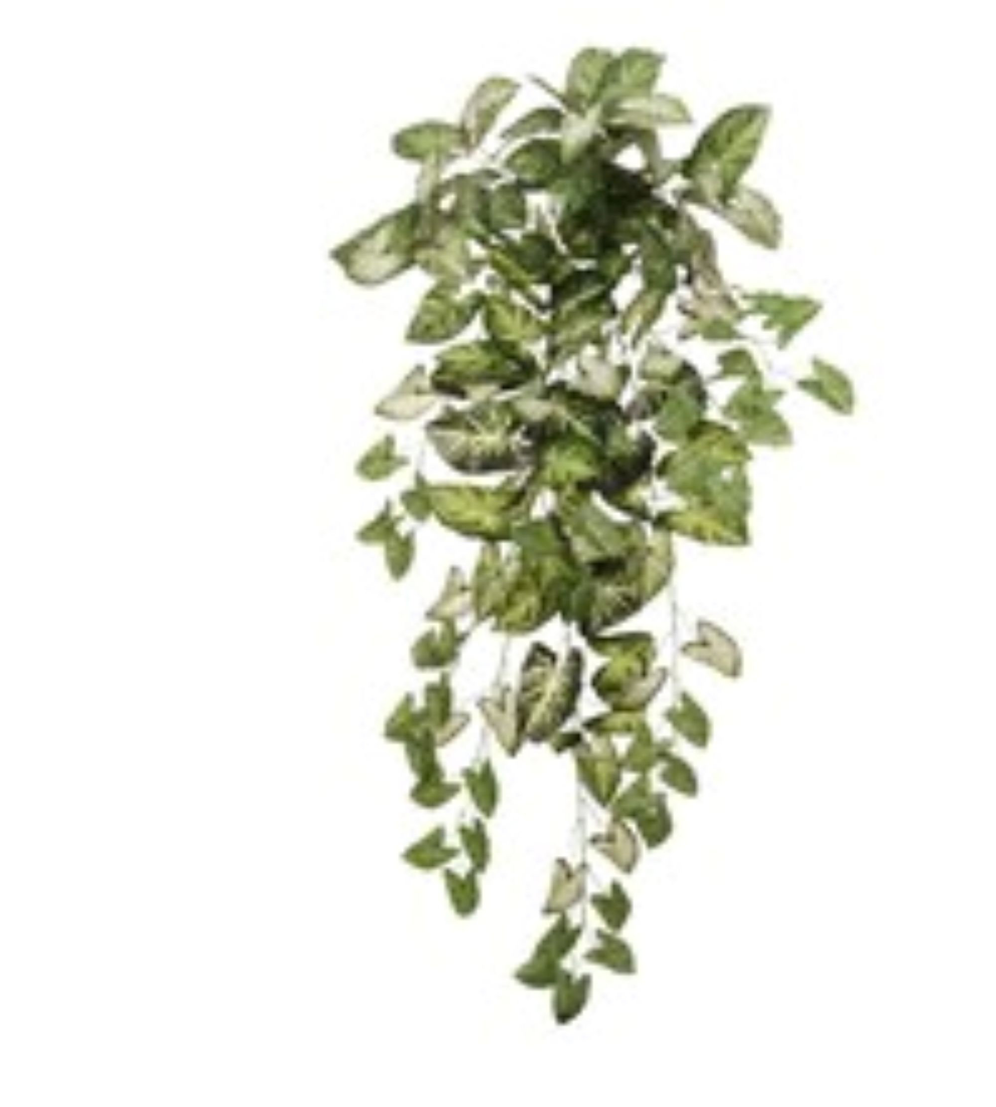 Larksilk 12pcs Hanging Nephtytis Bush 36" - 2025 Spring Collection ...