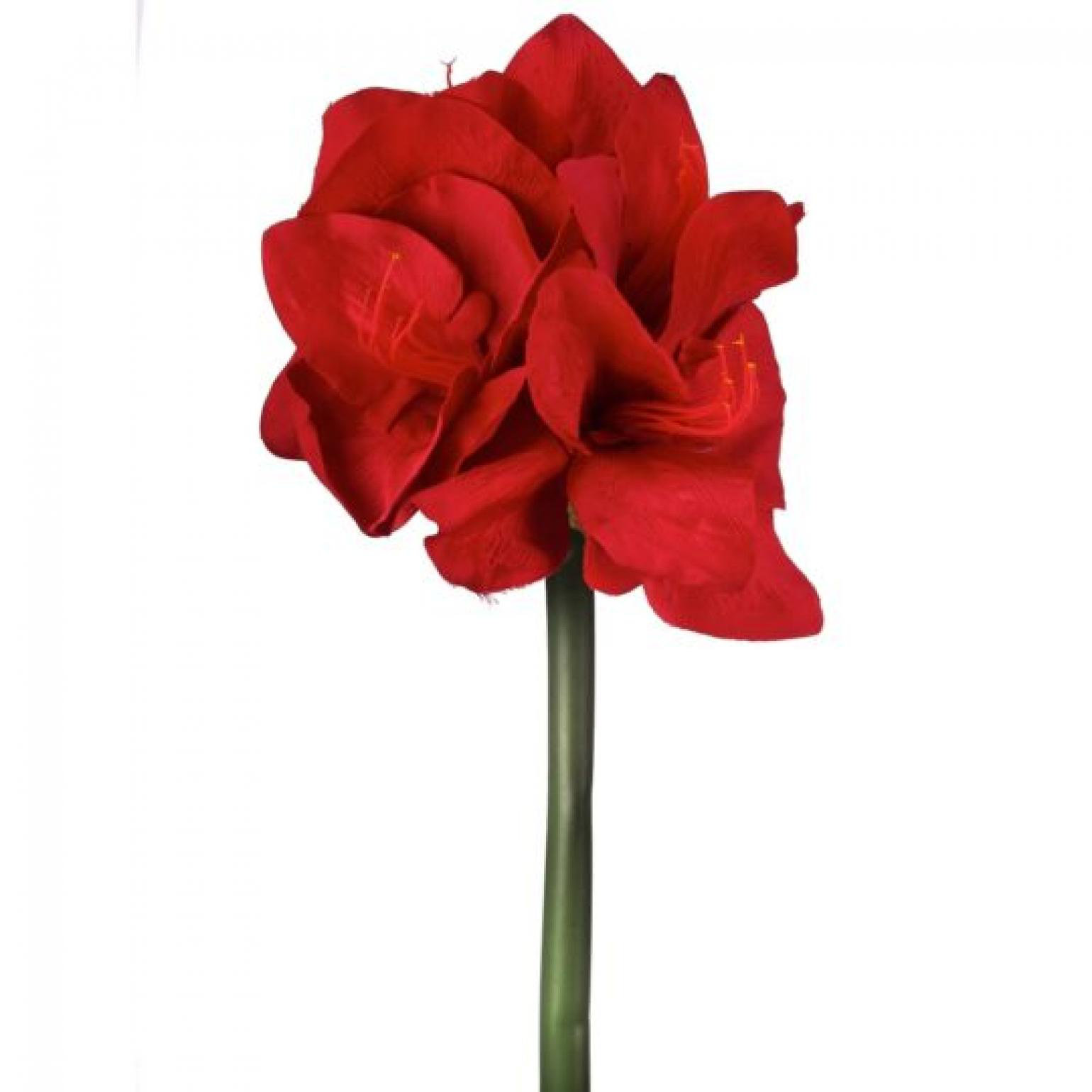 Primrue Red Velvet Amaryllis Stem Artificial Flower | Wayfair