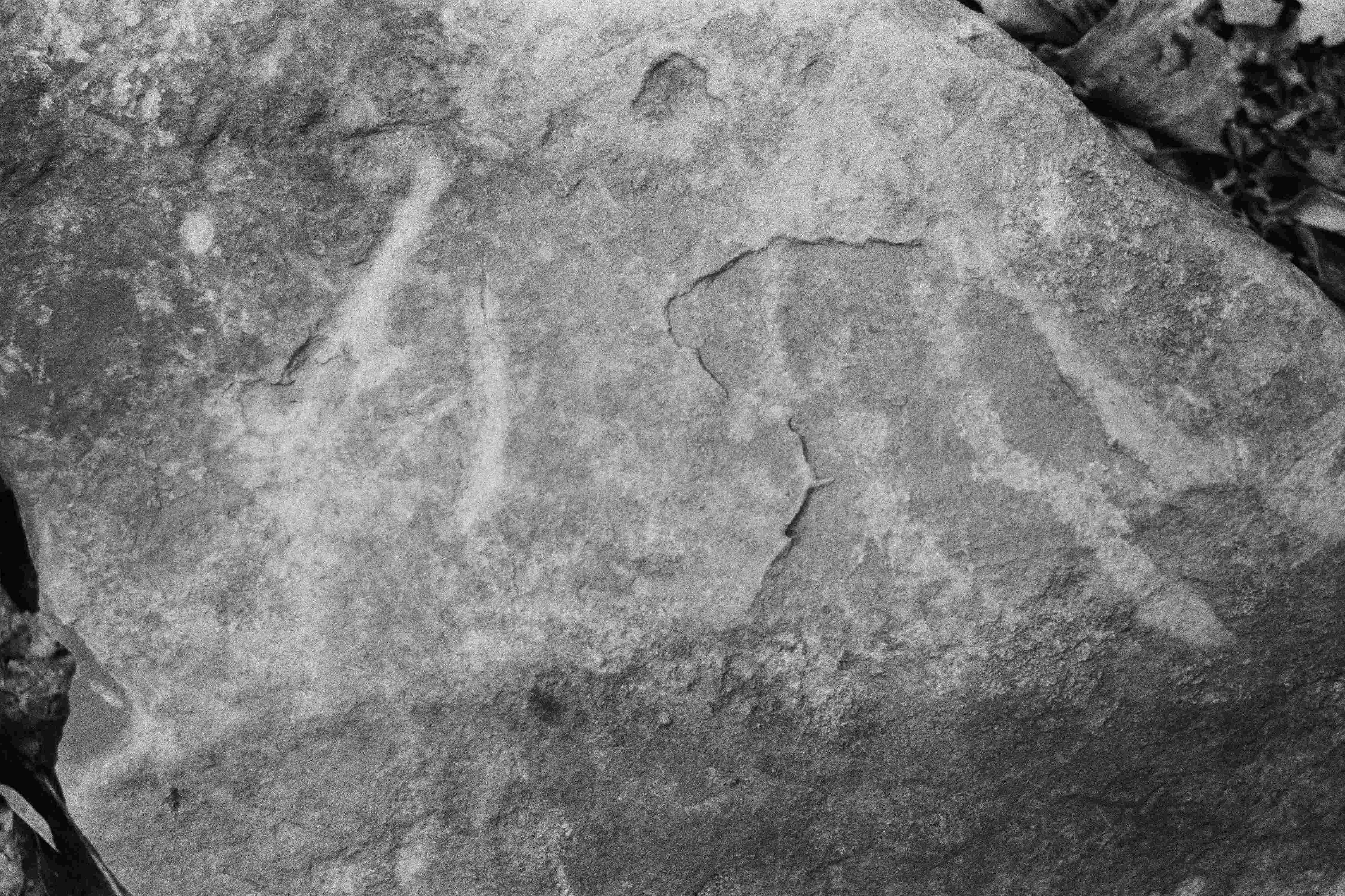 Orren Ellis Found Textures XVII - Wrapped Canvas Photograph | Wayfair