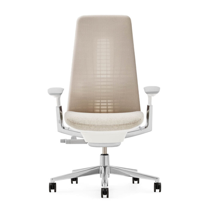 Haworth Fern Mesh Task Chair | Wayfair