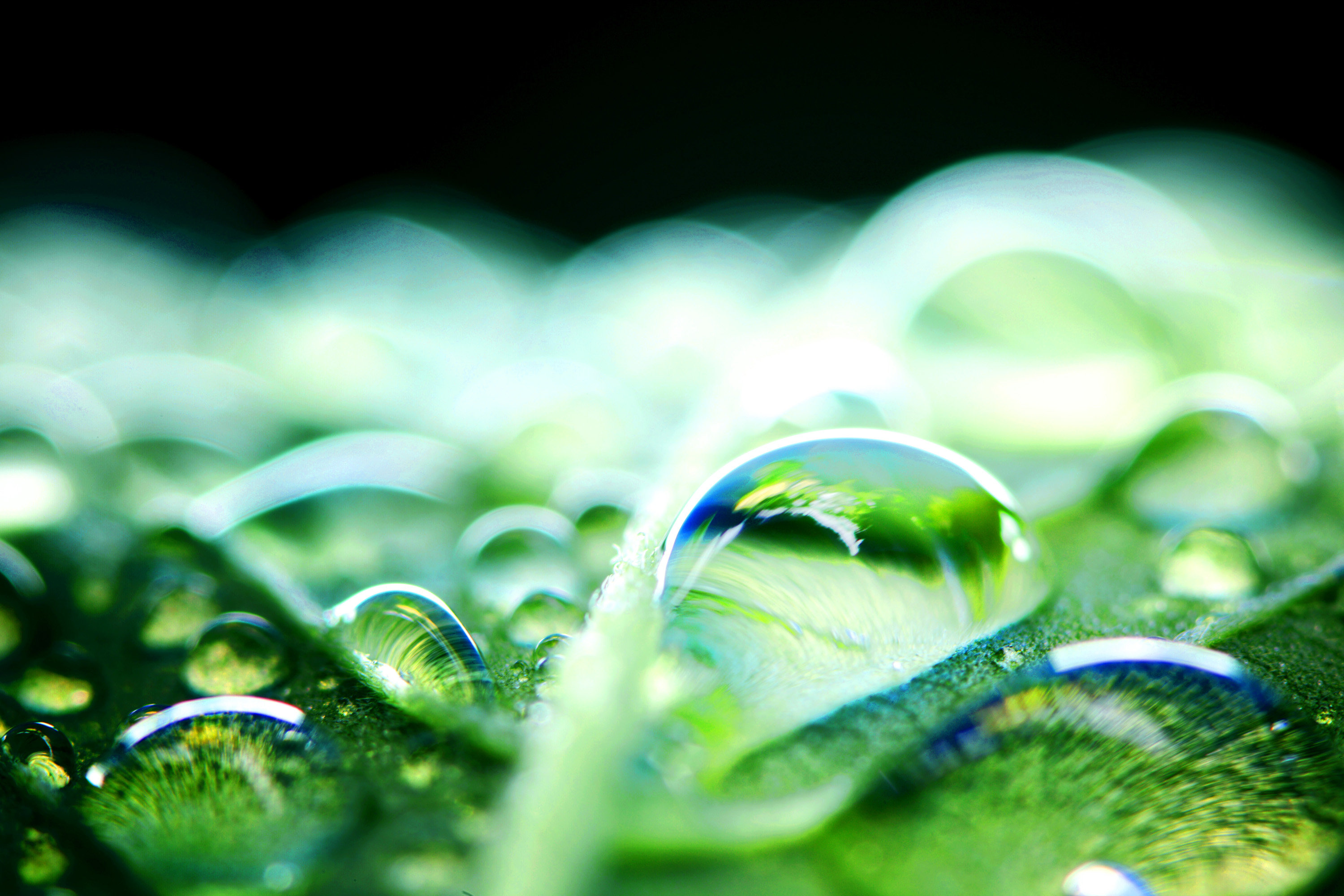 Hokku Designs Water Drop Macro by Ivanmikhaylov - Wrapped Canvas ...