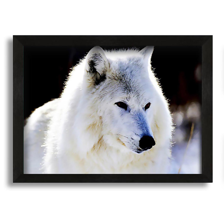 Alpen Home White Arctic Wolf - Single Picture Frame Art Prints on ...