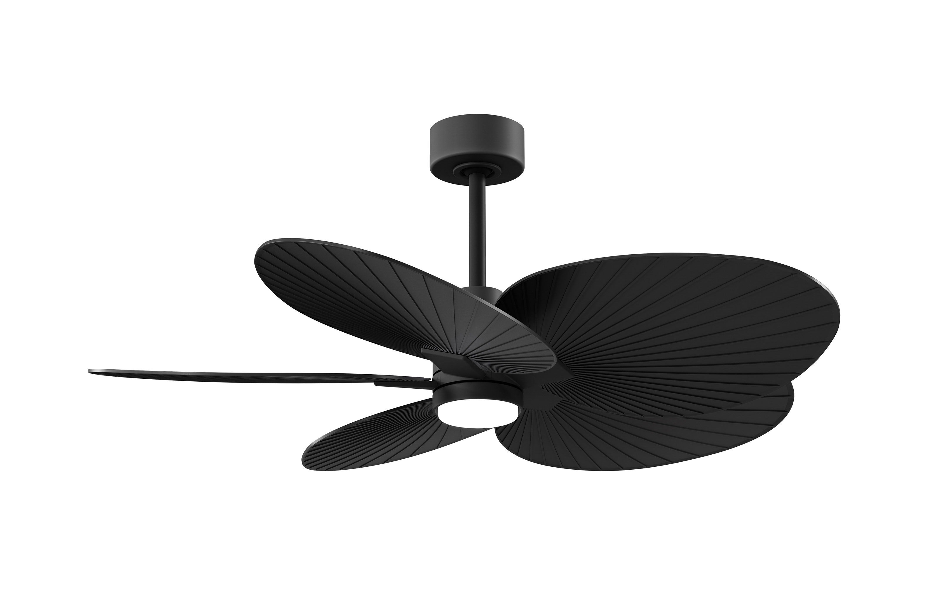 Matthews Fan Company Alessandra - Five Blade Ceiling Fan - Integrated ...