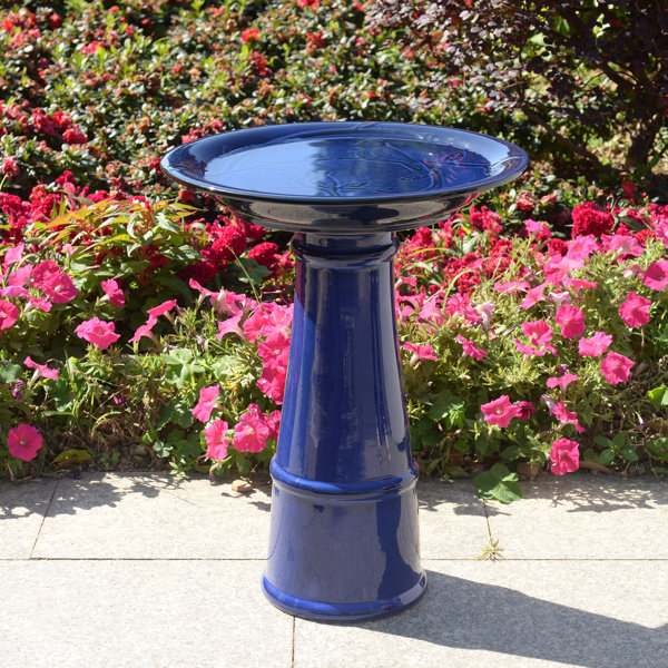 Red Barrel Studio® Otaki Ceramic Sundial Birdbath & Reviews | Wayfair