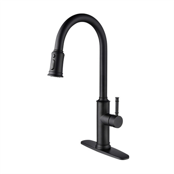 Red Cloud Pull Out Kitchen Faucet | Wayfair
