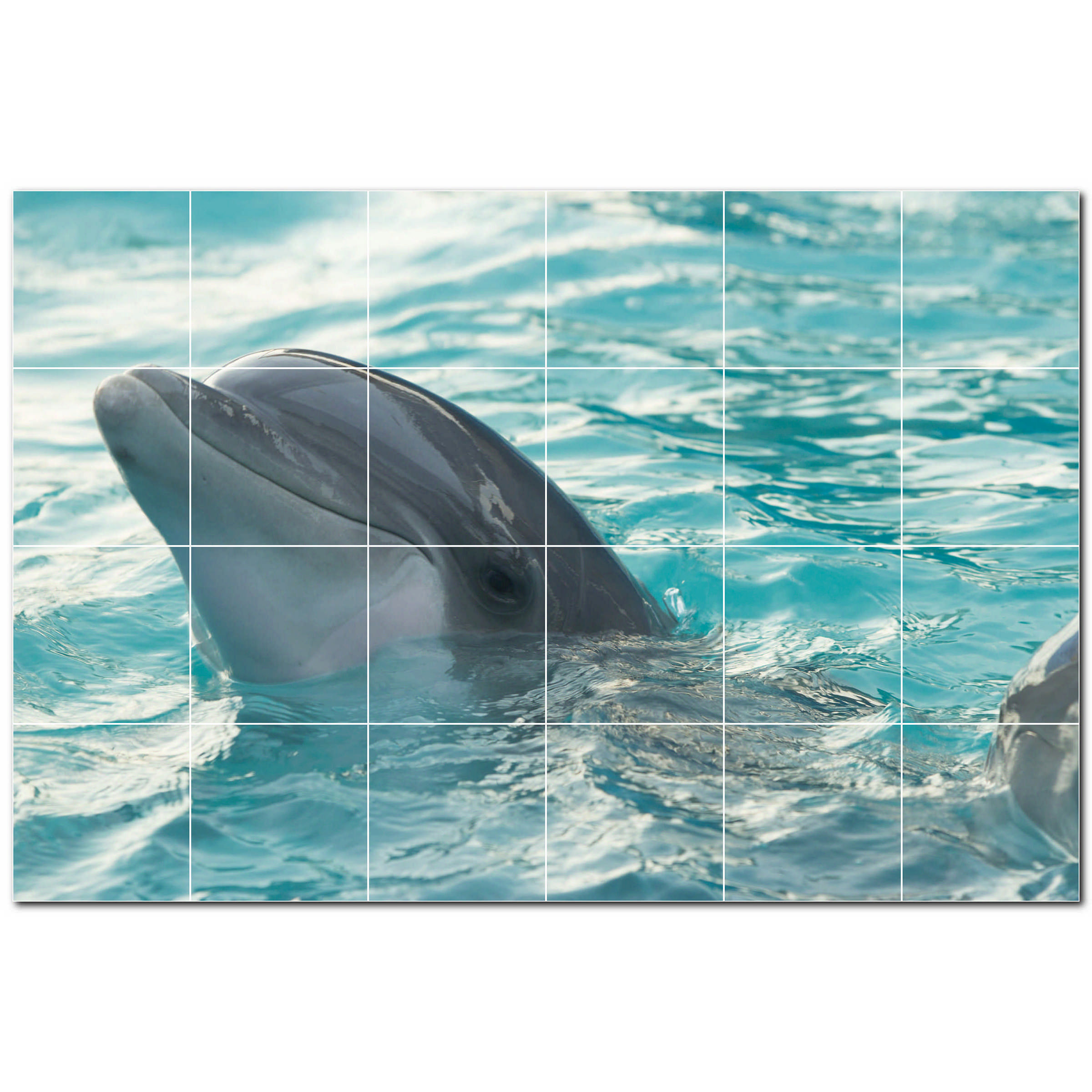 Picture-Tiles.com Dolphin Photo 12'' x 12'' Satin Ceramic Decorative ...