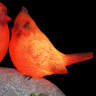 Exhart Solar Cardinal Love Rock Statue with Flowers, 8 Inch & Reviews ...