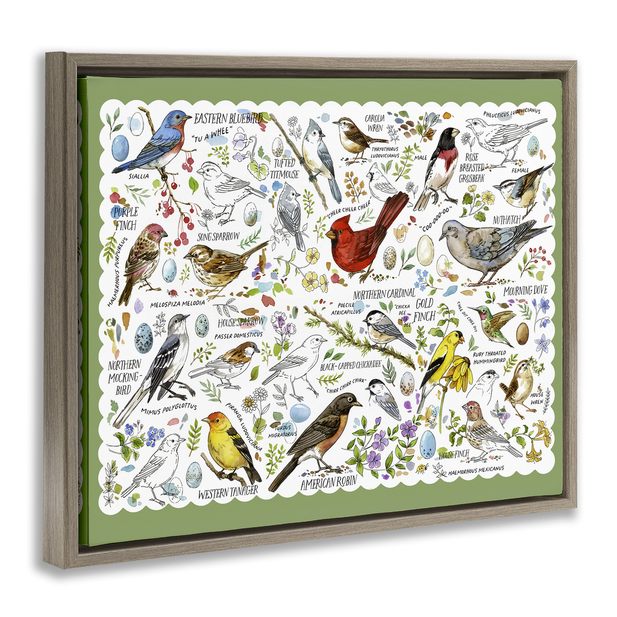 Lark Manor™ Various Bird Species Floater Canvas Wall Art by Jane Maday ...