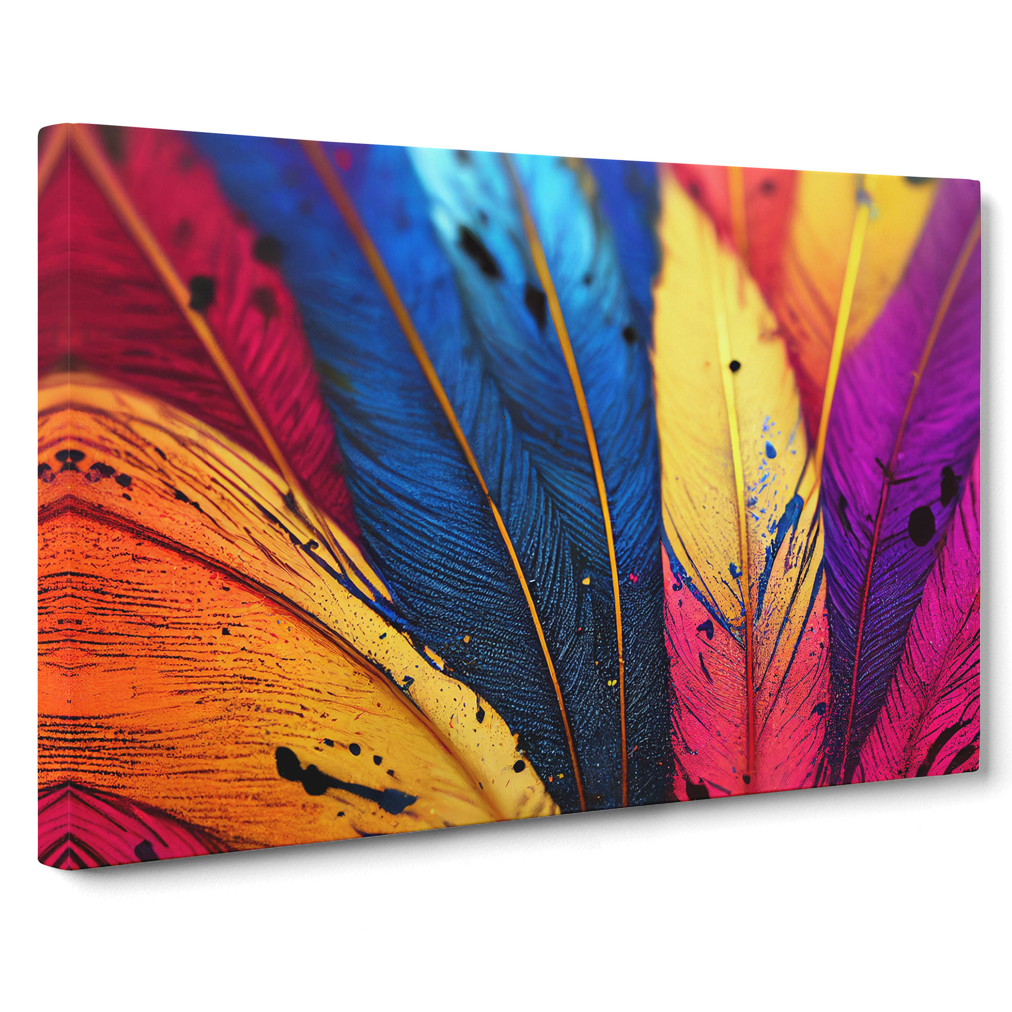 Latitude Vive Bird Feather Splash Vol.2 - Wrapped Canvas Painting | Wayfair.ie
