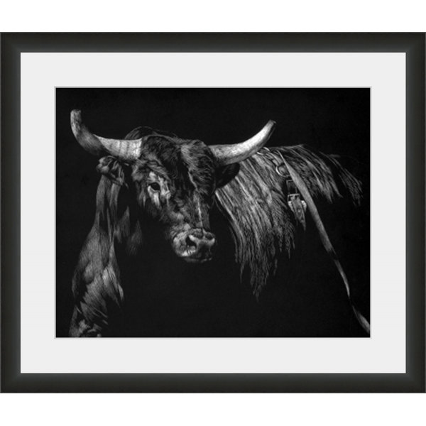 Charlton Home® Brindle Rodeo Bull Framed On Paper Print - Wayfair Canada
