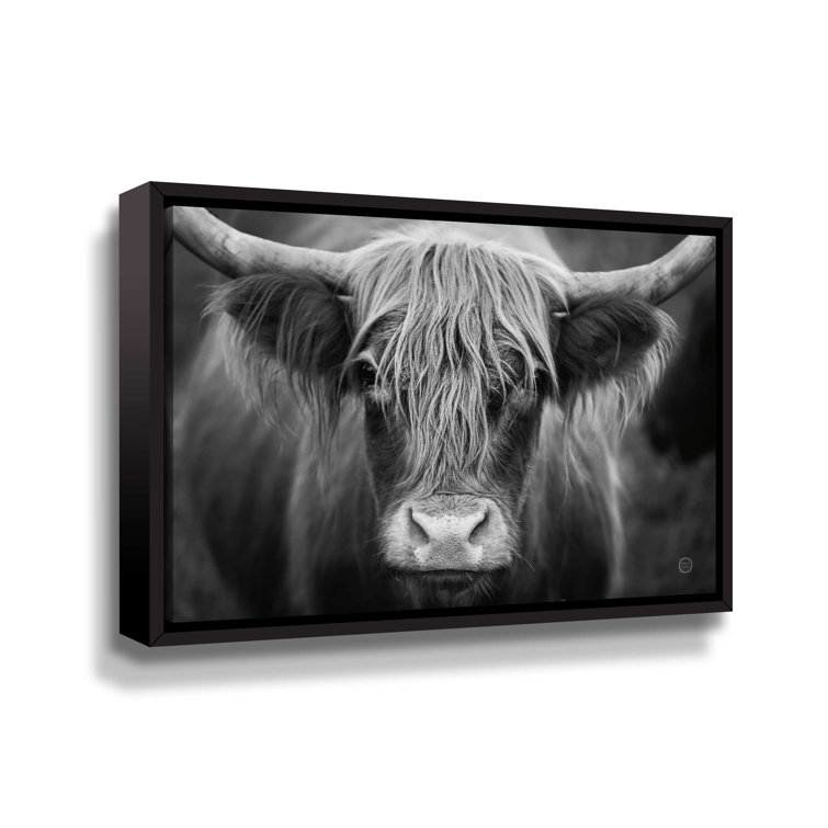 Foundry Select Cow Nose BW Framed On Canvas Print - Wayfair Canada