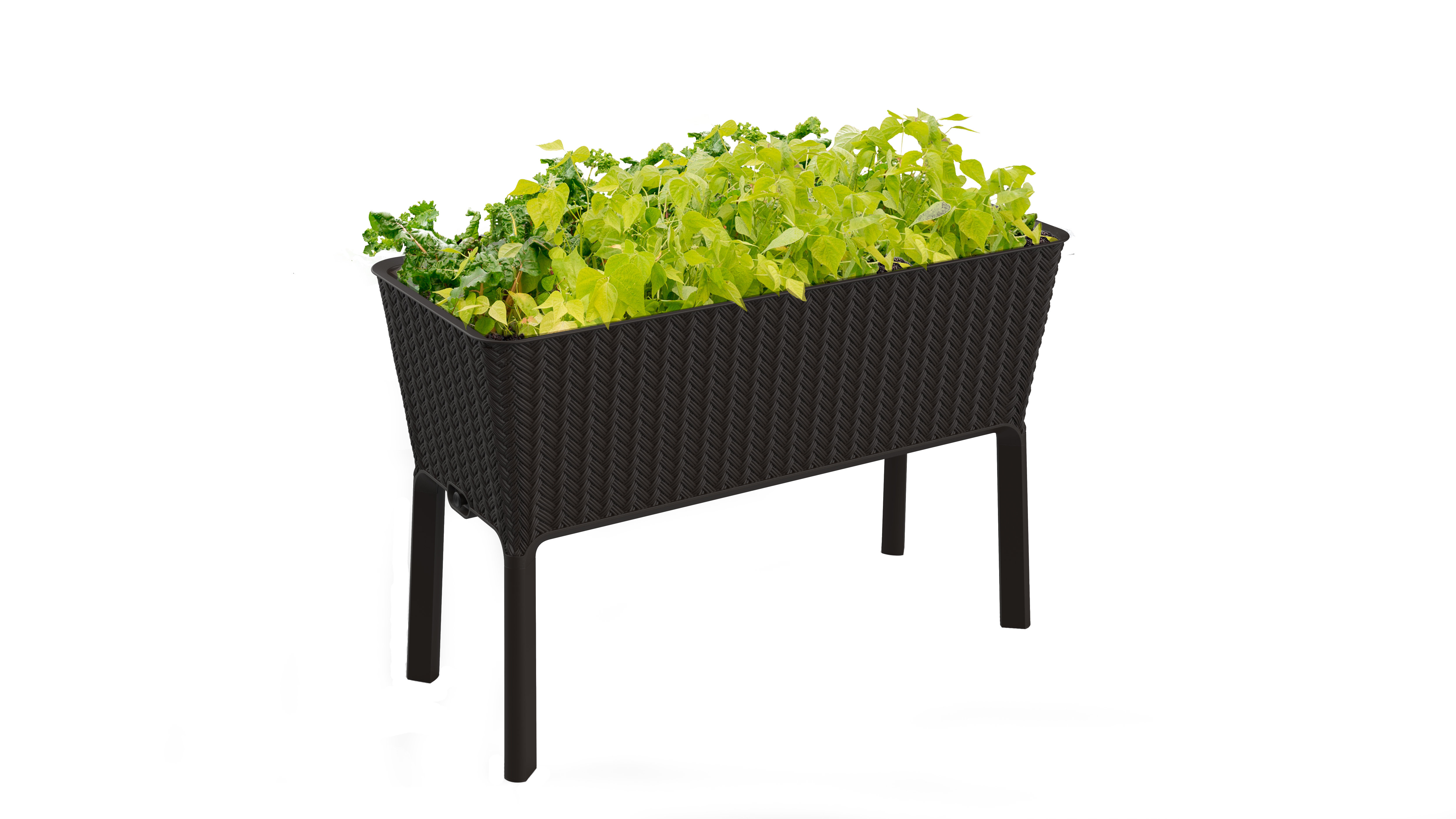 Raised Planter Drain Systems FORCLOVER Wood Outdoor Raised Planter