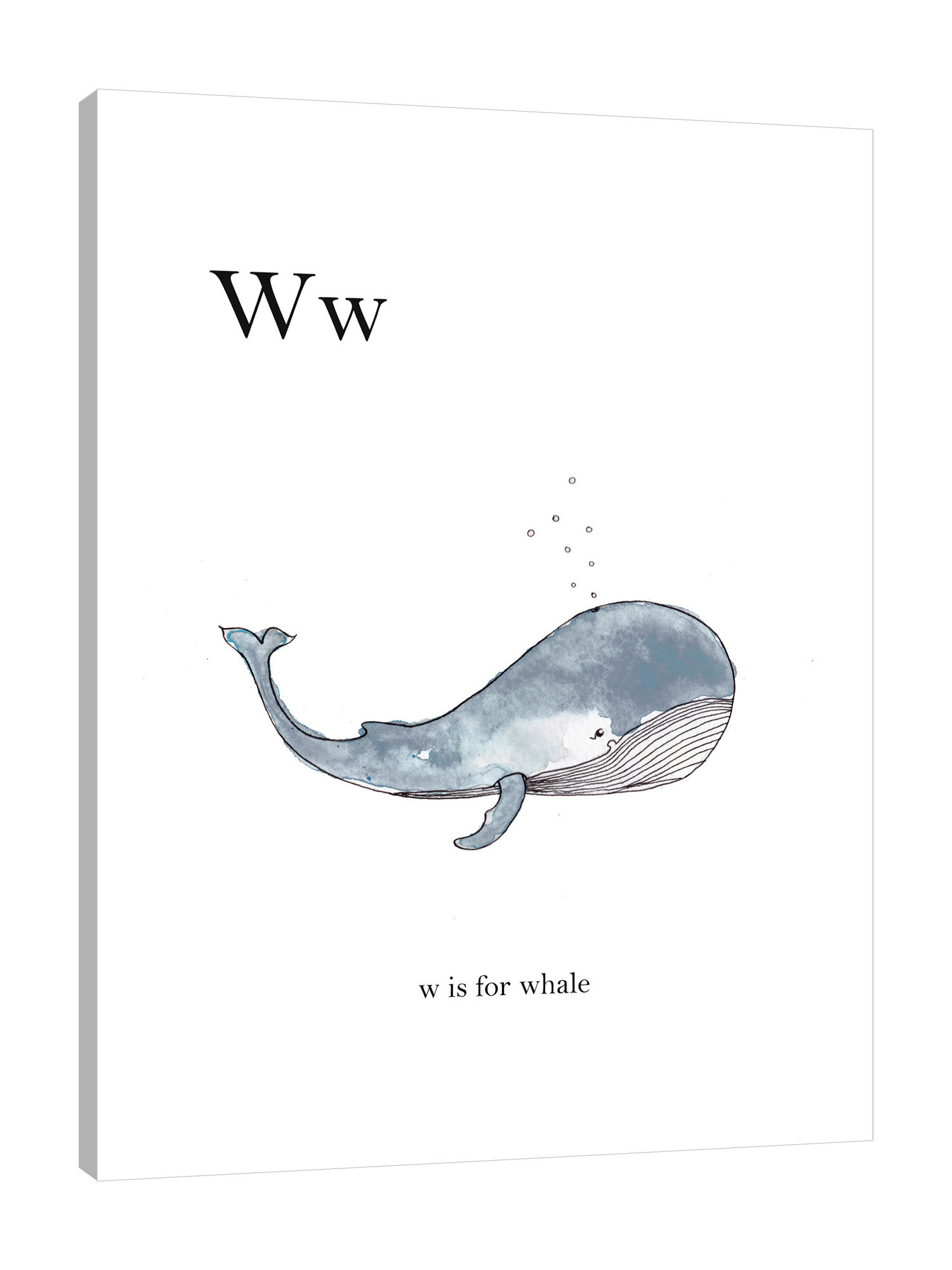 Jaxson Rea "Ww Is For Whale" Gallery Wrapped Canvas By Leah Straaham ...