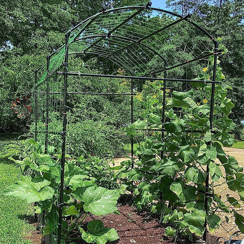 ShangQuan WuLiu Tall Garden Arch Trellis For Climbing Plants, Large ...
