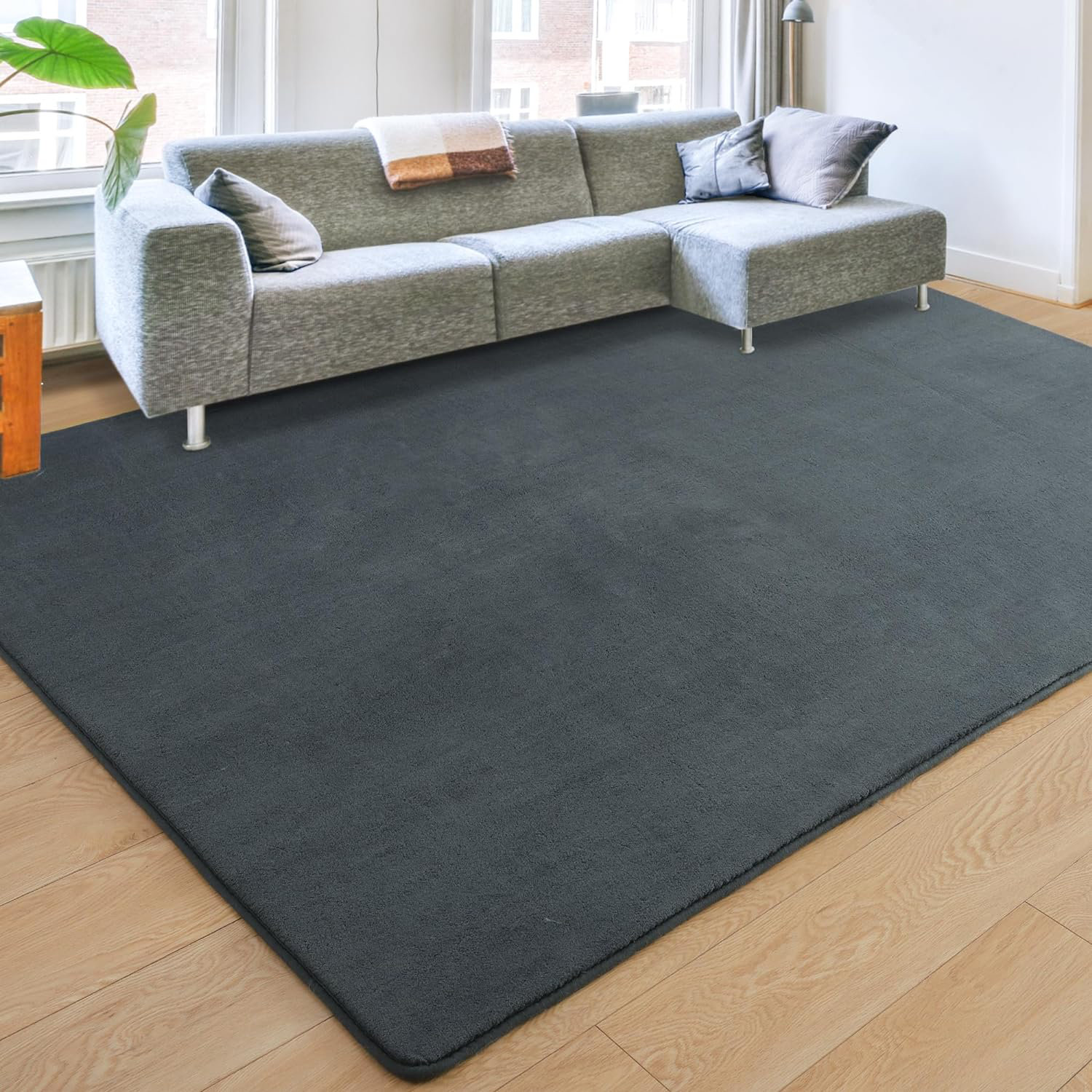 Latitude Run® Stoeber Ultra Soft Carpet for Bedroom 4x6ft Shaggy Rugs ...