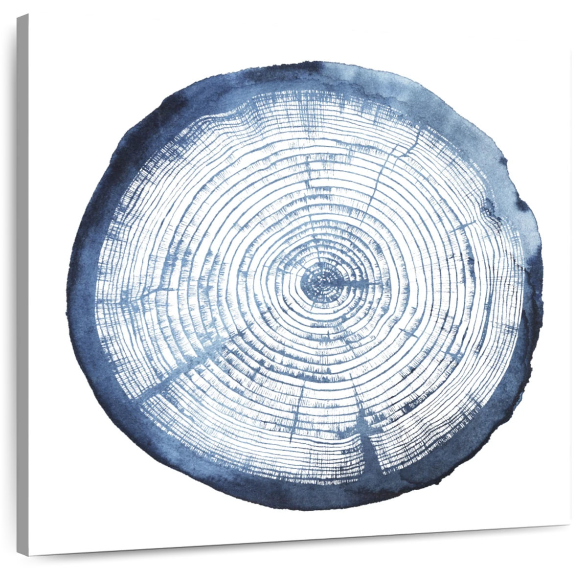 Wade Logan® Avery Tree Ring Overlay I | Wayfair