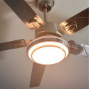 Orren Ellis Tavin 5 - Blade LED Stainless Steel Ceiling Fan with Remote ...