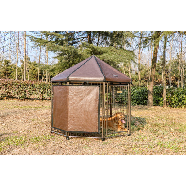 PET GAZEBO Advantek Dog Kennel Sun Shade & Reviews | Wayfair