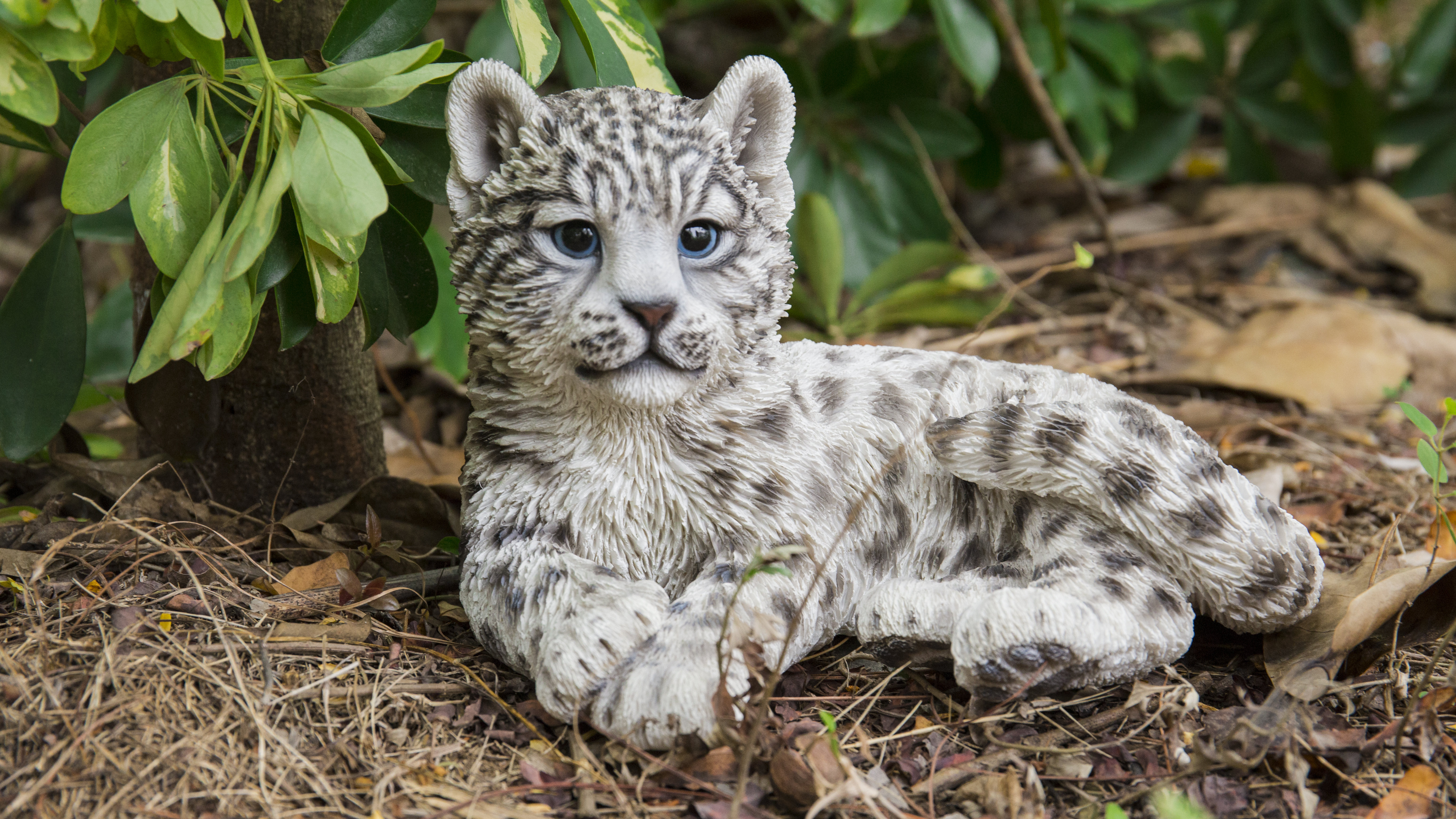 Hi-Line Gift Ltd. Snow Leopard Cub Statue & Reviews | Wayfair
