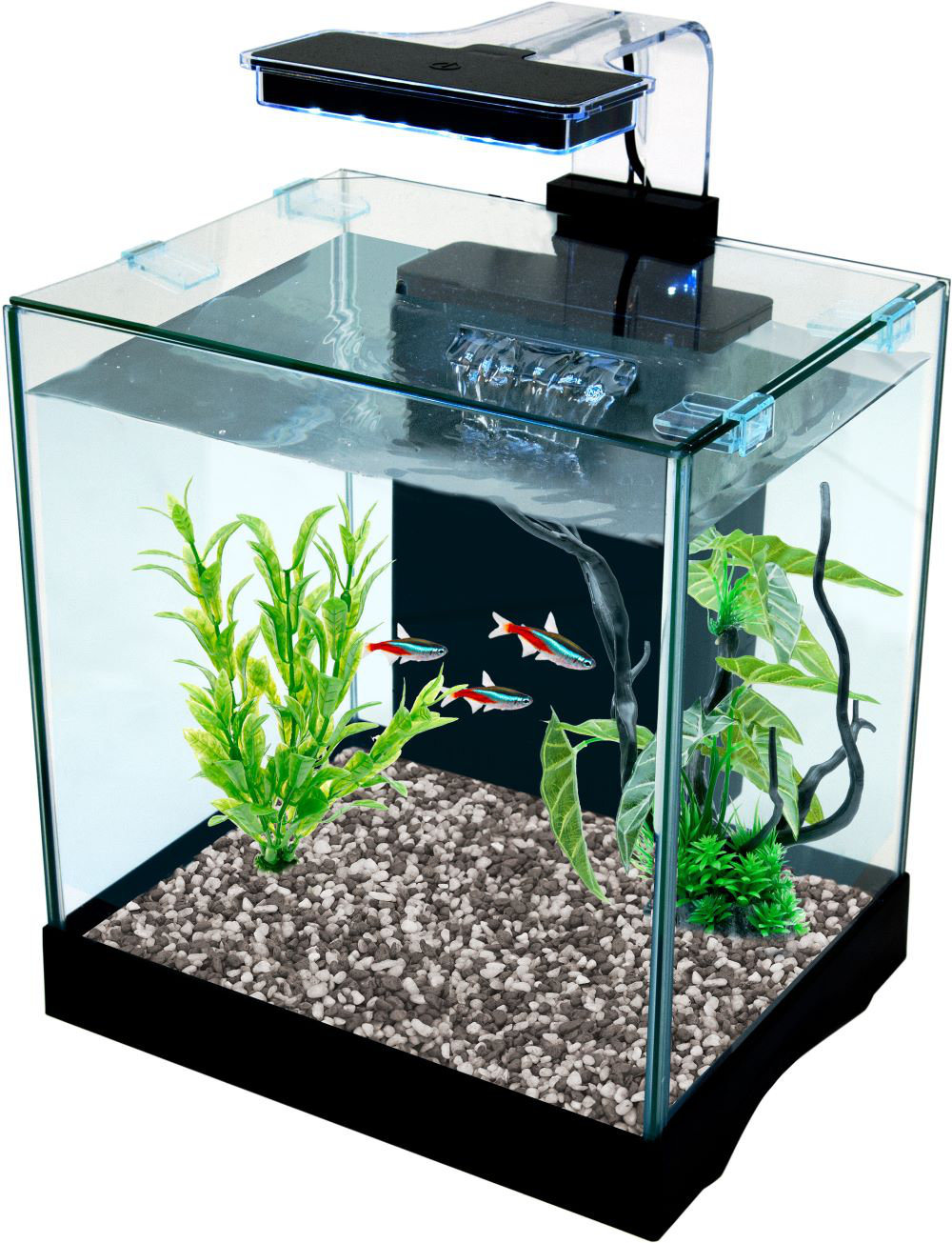 Tucker Murphy Pet™ Kesler 3.2 Gallon All-in-One Desktop Aquarium Kit ...