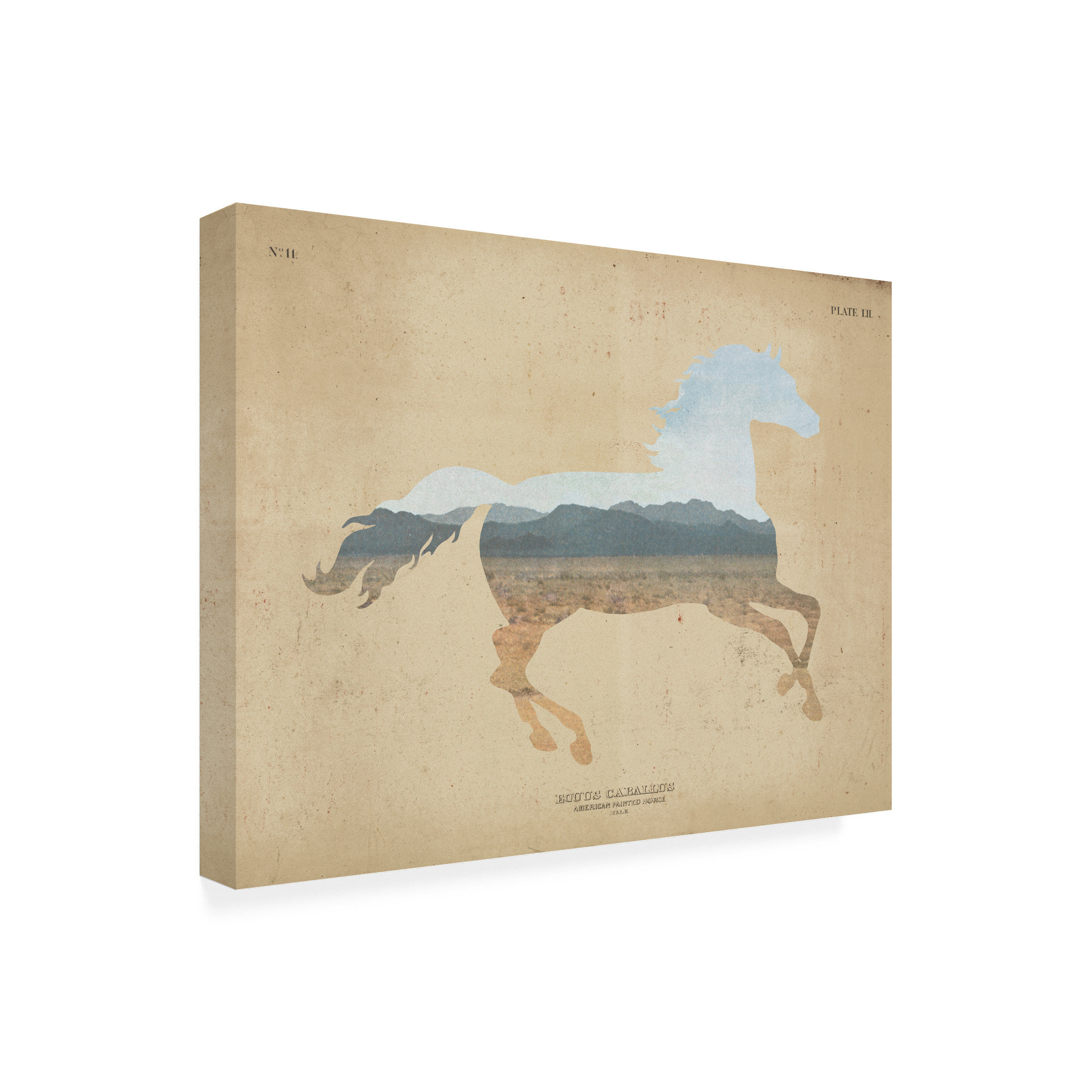 Foundry Select Wild Apple Portfolio ''American Southwest Horse ...