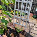 Winado Pvc Curved Arch & Reviews | Wayfair