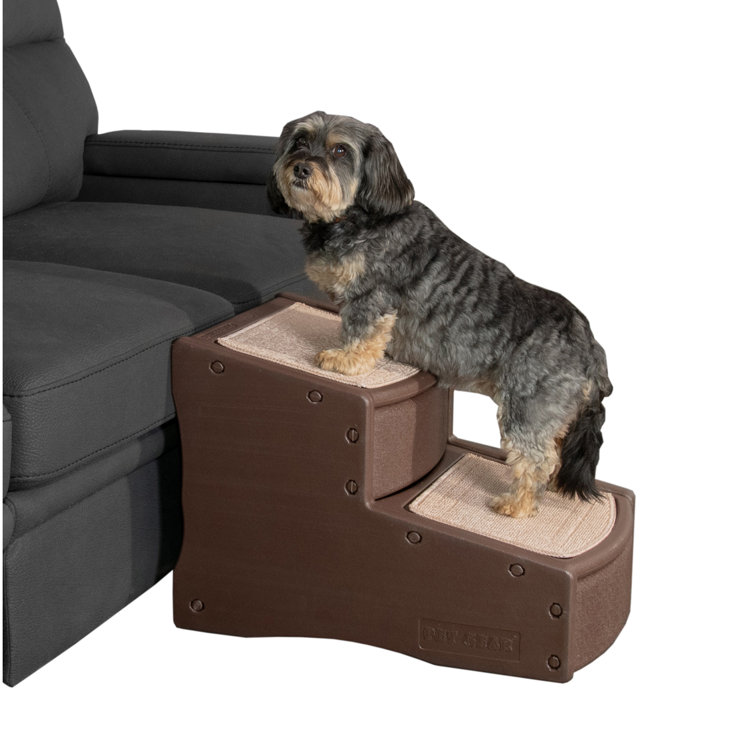Pet Gear Stairs With 2 Steps | Wayfair