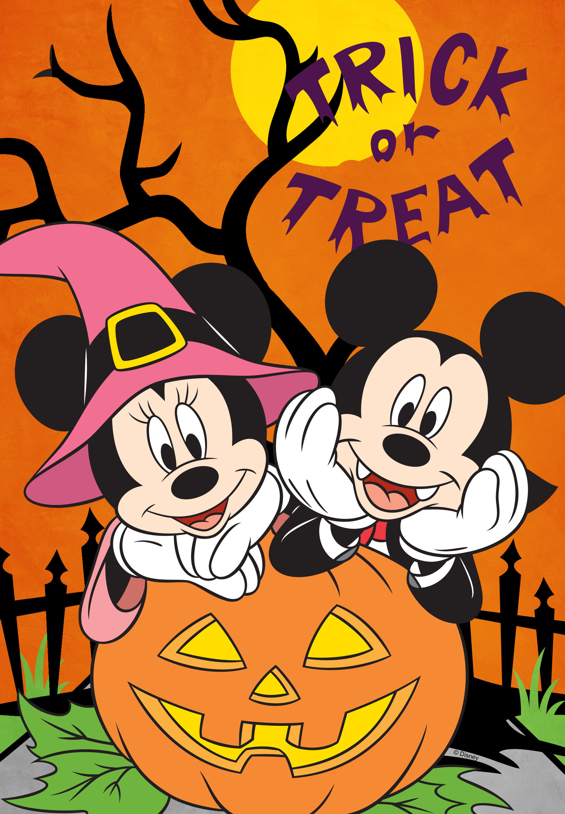 Back Yard Glory Disney Mickey Mouse & Minnie Mouse Trick or Treat ...