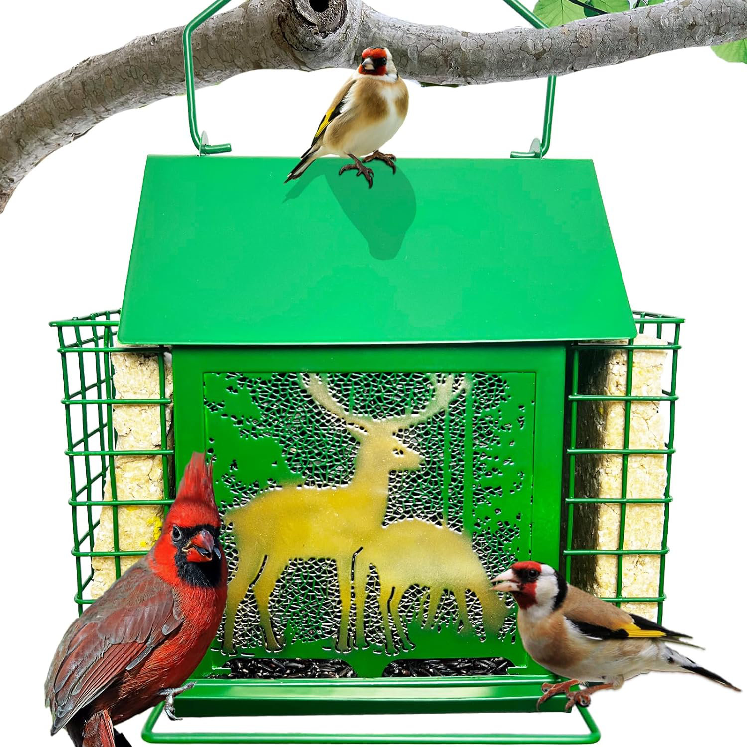 Latitude Run® Large 6.5 Lbs Seed Capacity Bird Feeder With Suet Cage ...