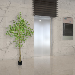 Wayfair.com - Online Home Store for Furniture, Decor, Outdoors & More