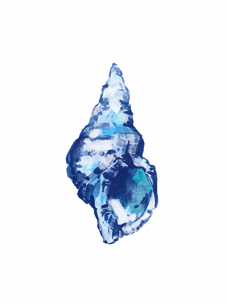 Beachcrest Home Blue Seashell On White Background No 2 | Wayfair.co.uk