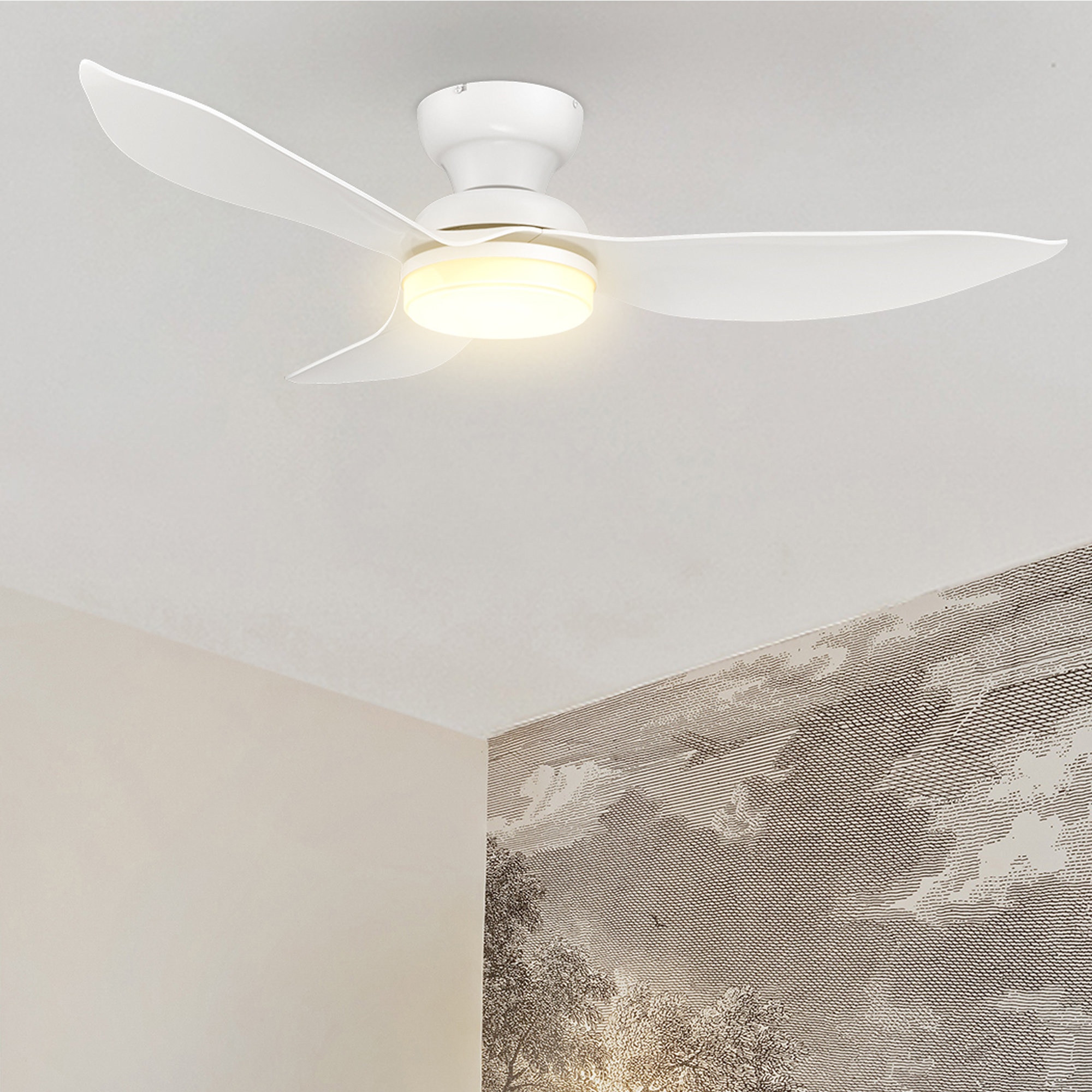 Ivy Bronx Eirena 45'' Ceiling Fan with LED Lights | Wayfair