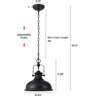 Williston Forge Waynetown 1 - Light Single Dome Pendant & Reviews ...