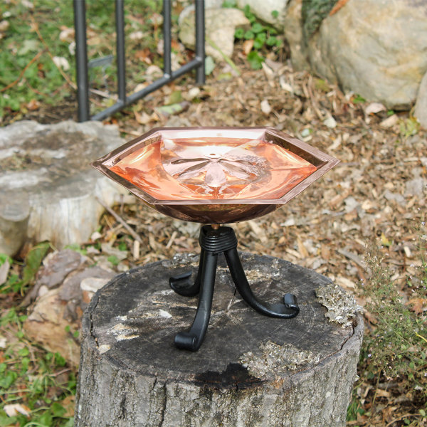 Charlton Home® Bee Fountain and Birdbath with Tripod Stand | Wayfair