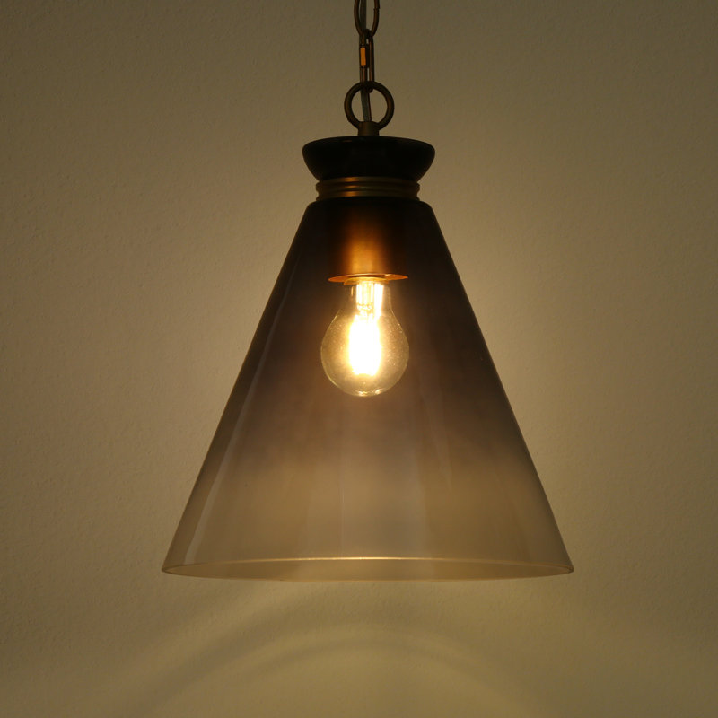 Mercer41 1-Light Modern Cone Pendant Light With Gradient Smoky Glass ...