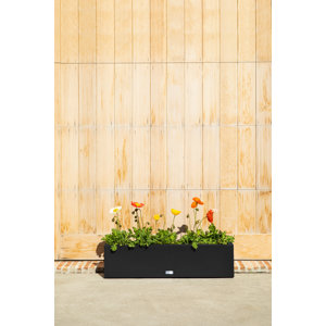 Veradek Planters You'll Love | Wayfair