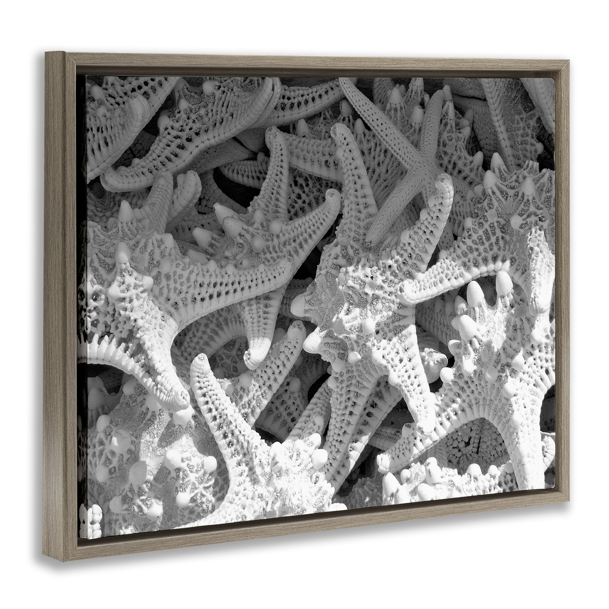 Dovecove Nautical Starfish Pile Framed Floater Canvas Wall Art by Jairo ...